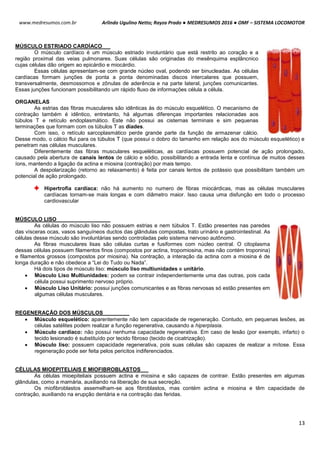 Med resumo sistema locomotor | PDF
