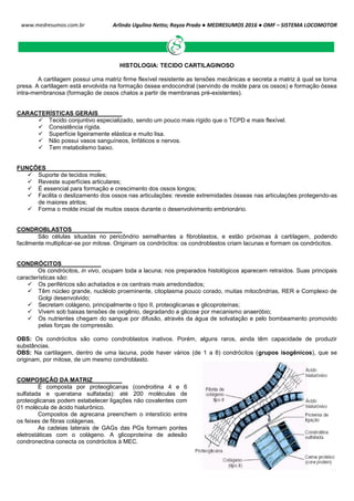 Med resumo sistema locomotor | PDF