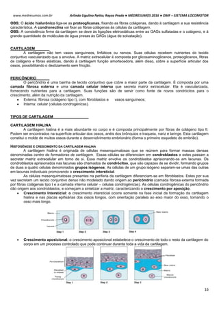 Med resumo sistema locomotor | PDF