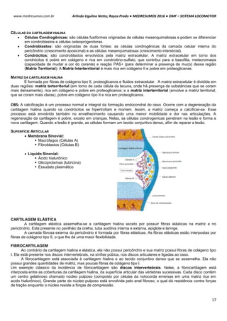 Med resumo sistema locomotor | PDF