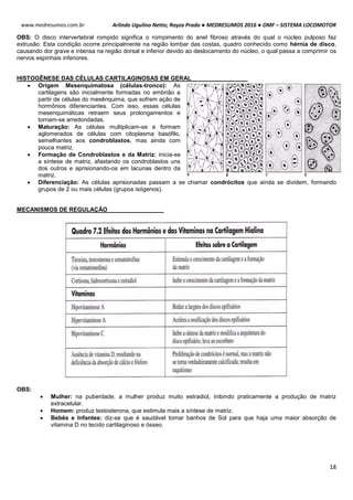 Med resumo sistema locomotor | PDF