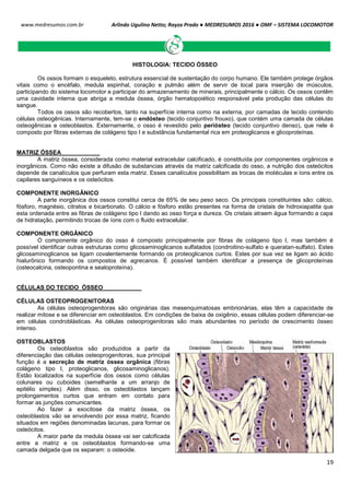Med resumo sistema locomotor | PDF