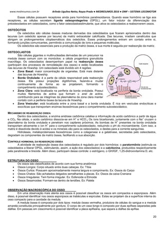 Med resumo sistema locomotor | PDF