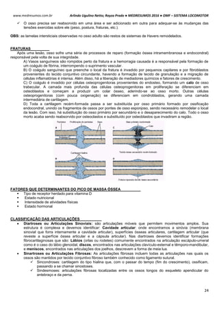 Med resumo sistema locomotor | PDF