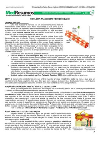 Med resumo sistema locomotor | PDF