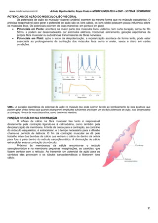 Med resumo sistema locomotor | PDF