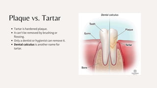 MedSurge-What-Is-Dental-Plaque-and-Caries-.pdf