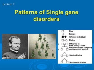 Medtech gen-2 a-single-gene-disorders | PPT