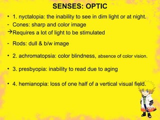 medterm-Autosaved-1.ppt RADIOLOGY RADIOLOGY | PPT