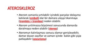 Tıbbi Terminoloji 5 - Kalp ve Dolaşım Sistemi Terimleri | PPTX
