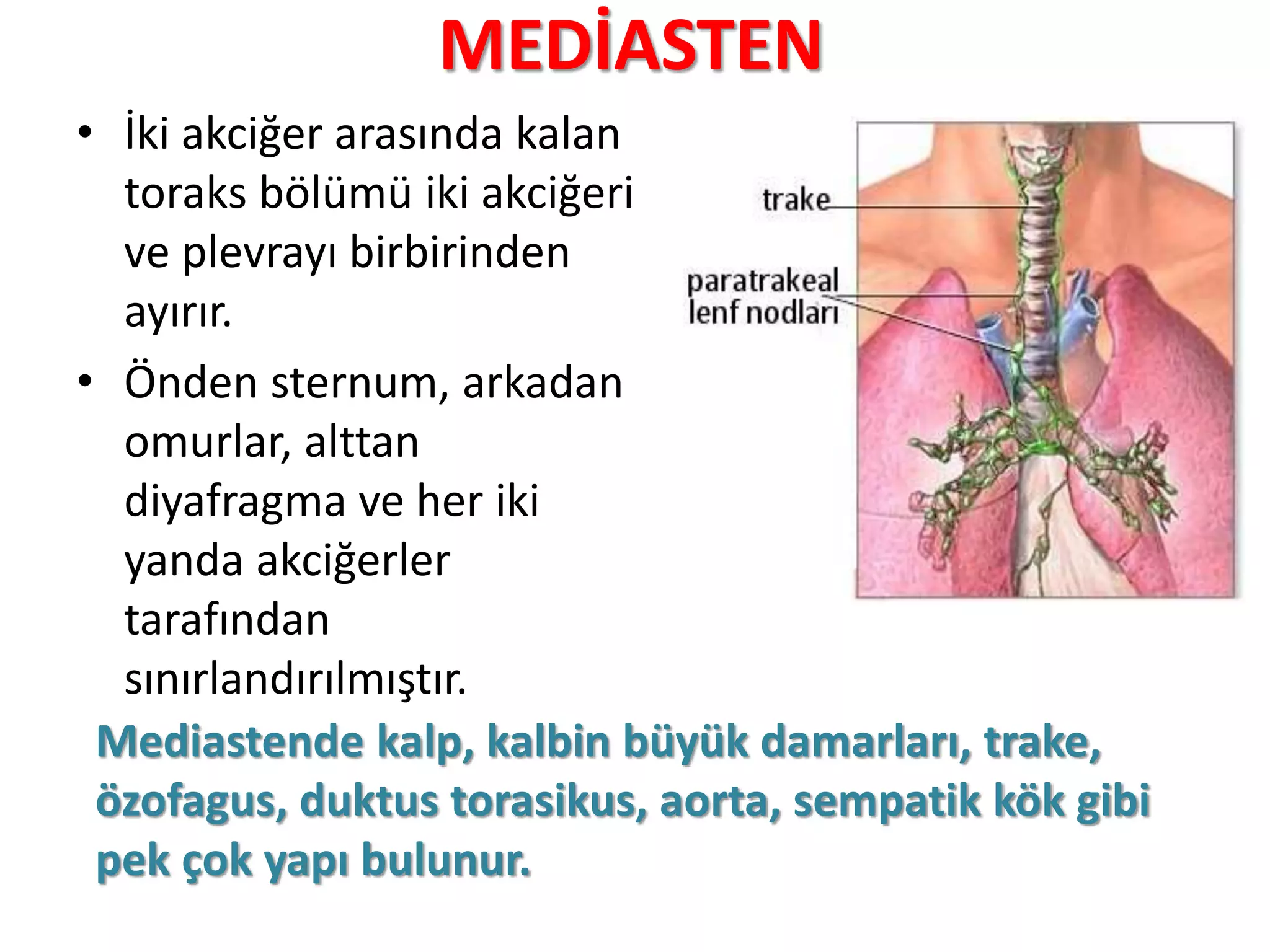 Tıbbi Terminoloji 6 - Solunum Sistemi Terimleri | PPTX