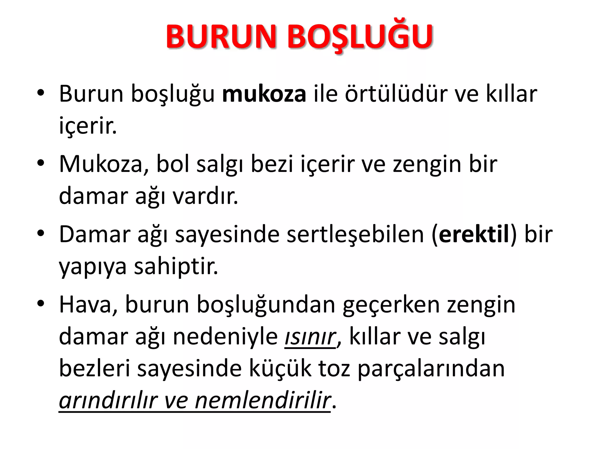 Tıbbi Terminoloji 6 - Solunum Sistemi Terimleri | PPTX