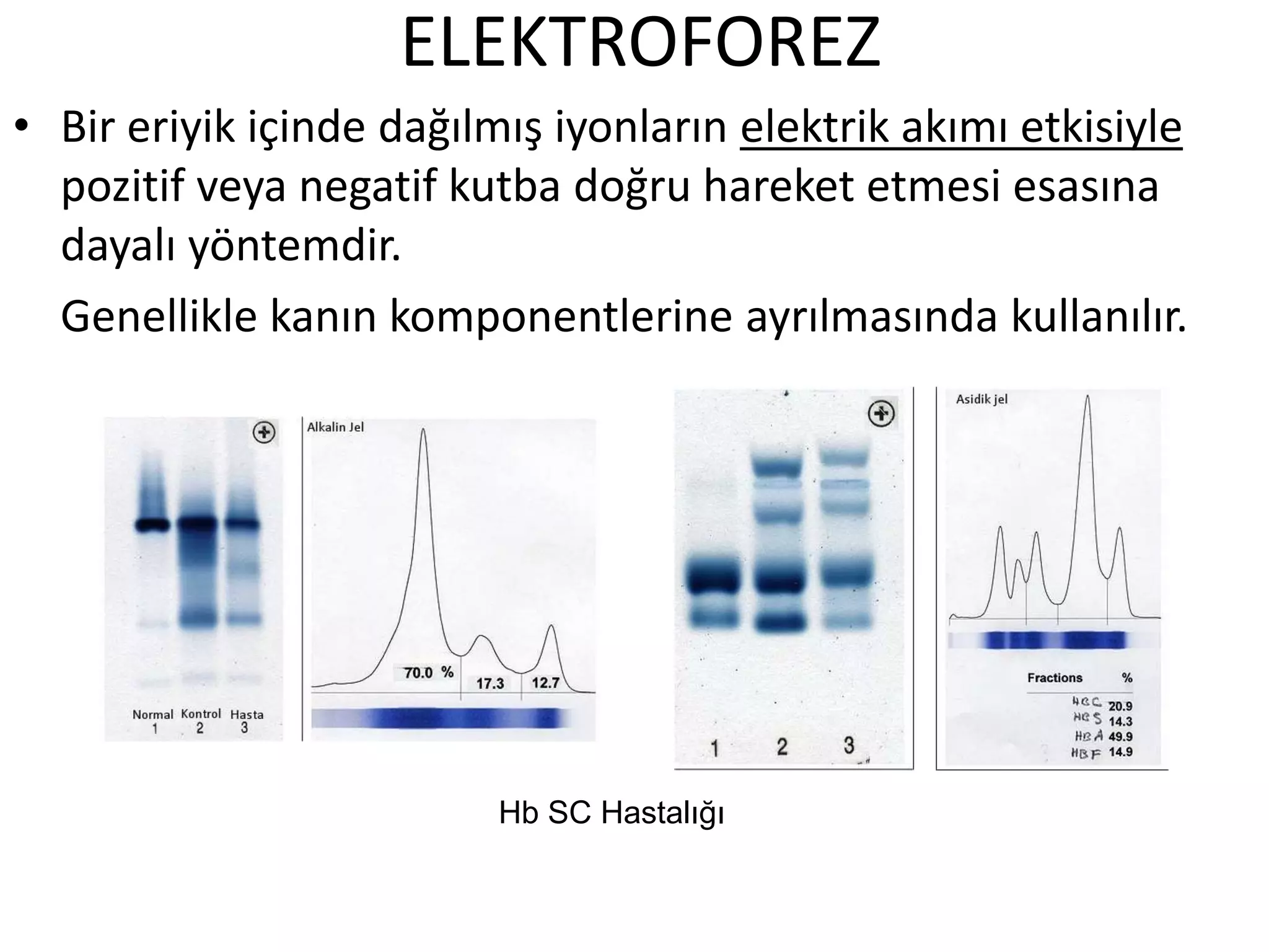 Tıbbi Terminoloji 7 - Kan ve İmmün Sistem Terimleri | PPTX