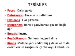 Tıbbi Terminoloji 8 - Sindirim ve Üriner Sistem Terimleri | PPTX