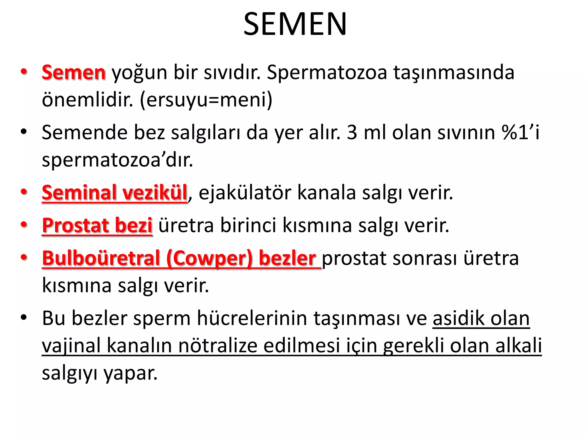 Tıbbi Terminoloji 9 - Erkek ve Kadın Üreme Sistemleri Terimleri | PPTX