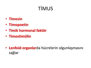 Tıbbi Terminoloji 10 - Endokrin Sistem ve Metabolizma Terimleri | PPTX