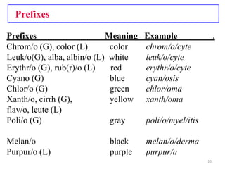 Med term1(terms) | PPT
