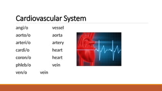 MEDICAL TERMINOLOGY AND ABBREVIATIONS.pptx