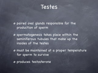 The Reproductive Systems | KEY | Infertility | Reproductive Health