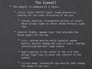 Med Term Presentation #3 | PPT