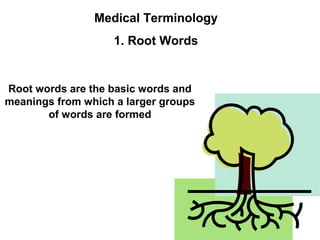 ONTAP - Medical Terminology 1 | PPT