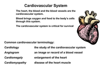 ONTAP - Medical Terminology 2 | PPT