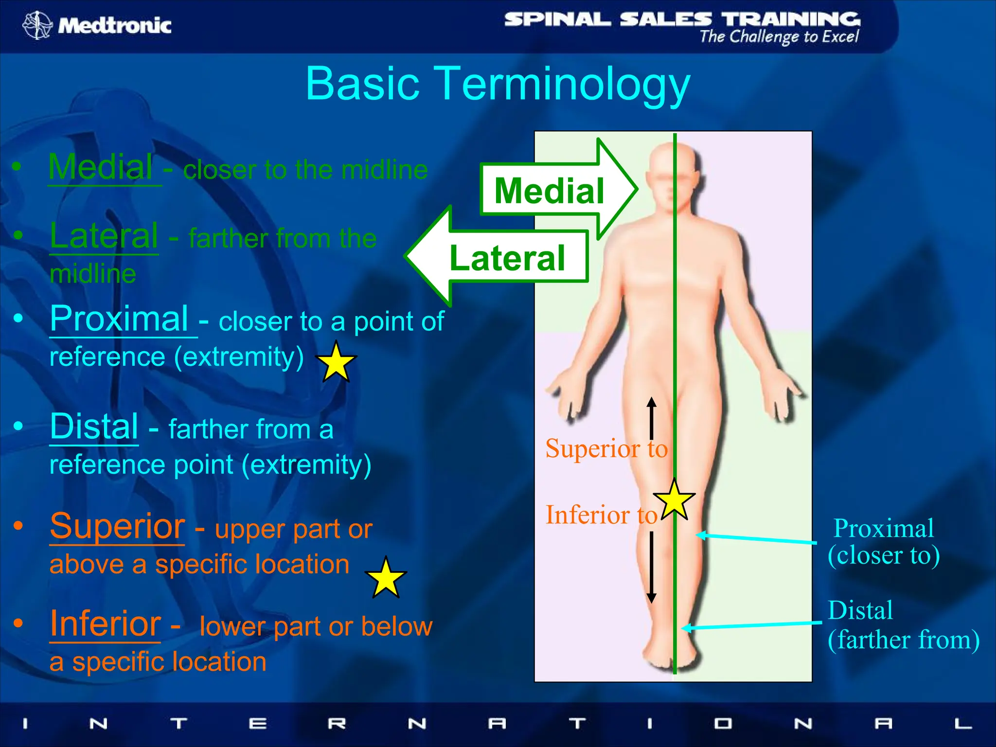 Medtronic Basics of Spinal Anatomy of human | PDF