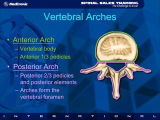 Medtronic Basics of Spinal Anatomy of human | PDF