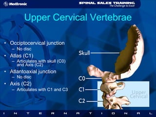 Medtronic Basics of Spinal Anatomy of human | PDF