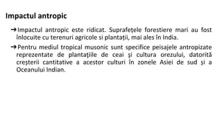 med tropical-musonic | PPTX
