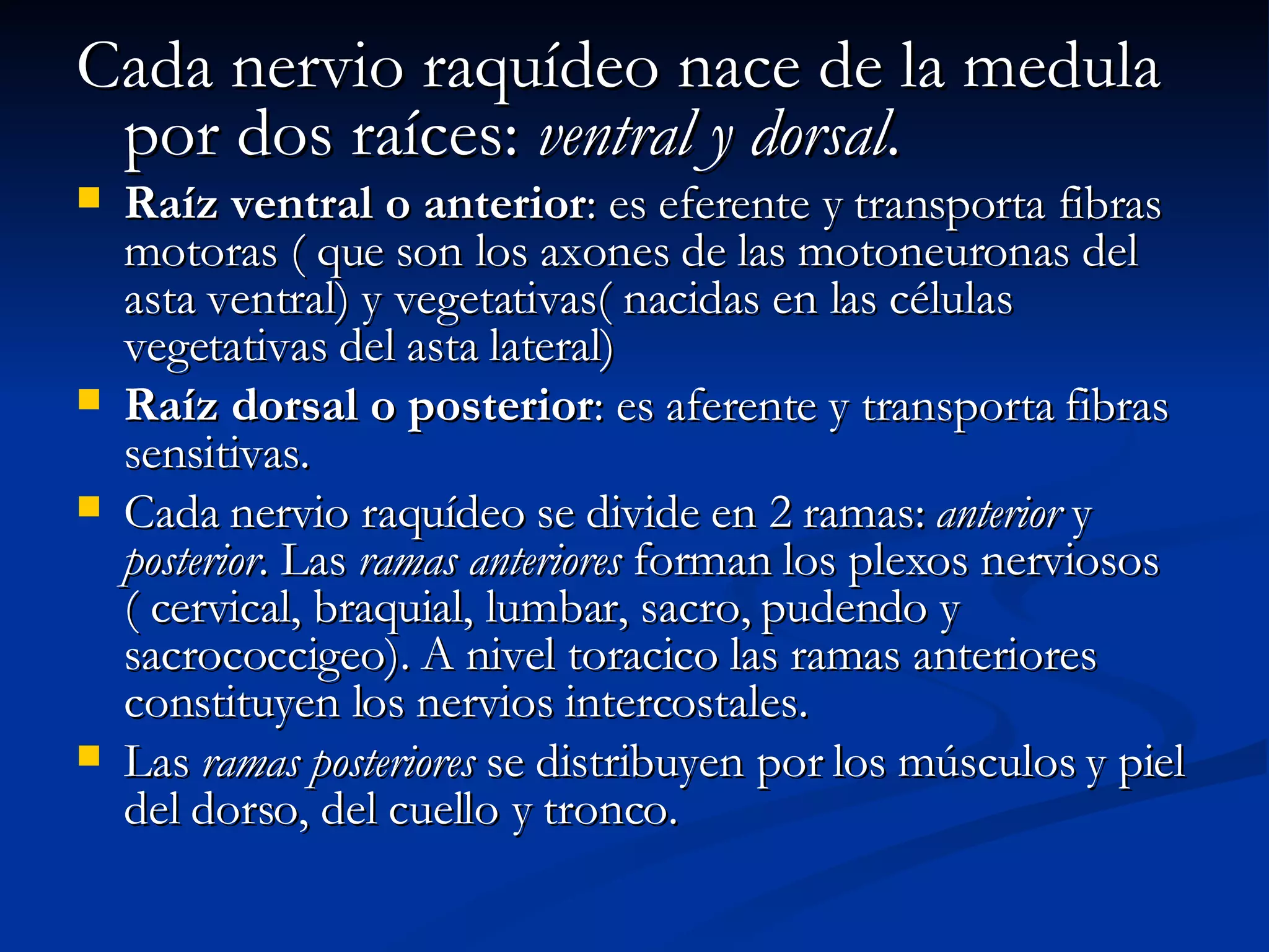 Medula Espinal | PPT