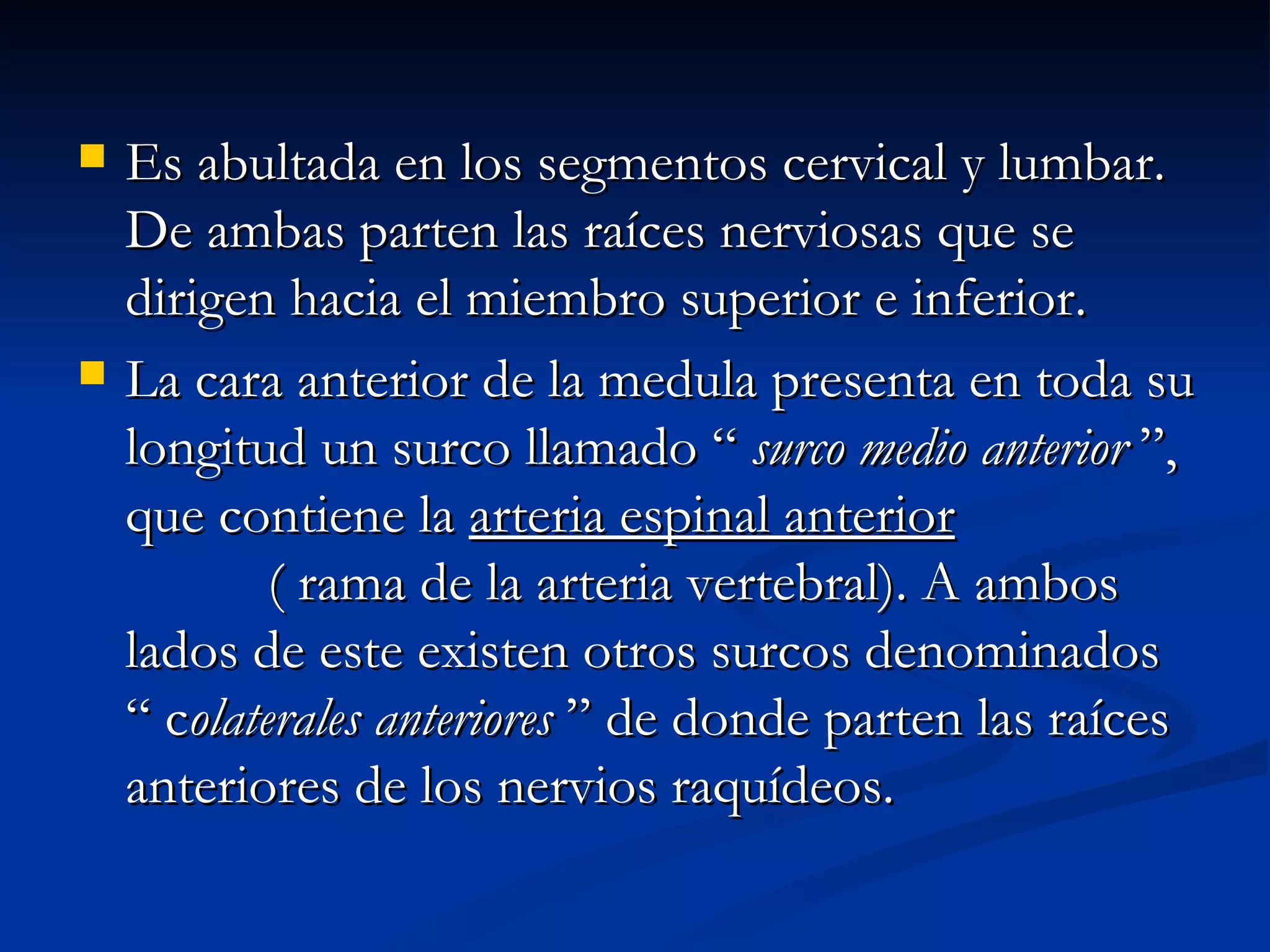 Medula Espinal | PPT