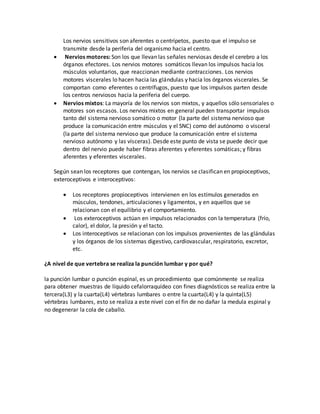 Anatomia: Medula espinal | DOCX