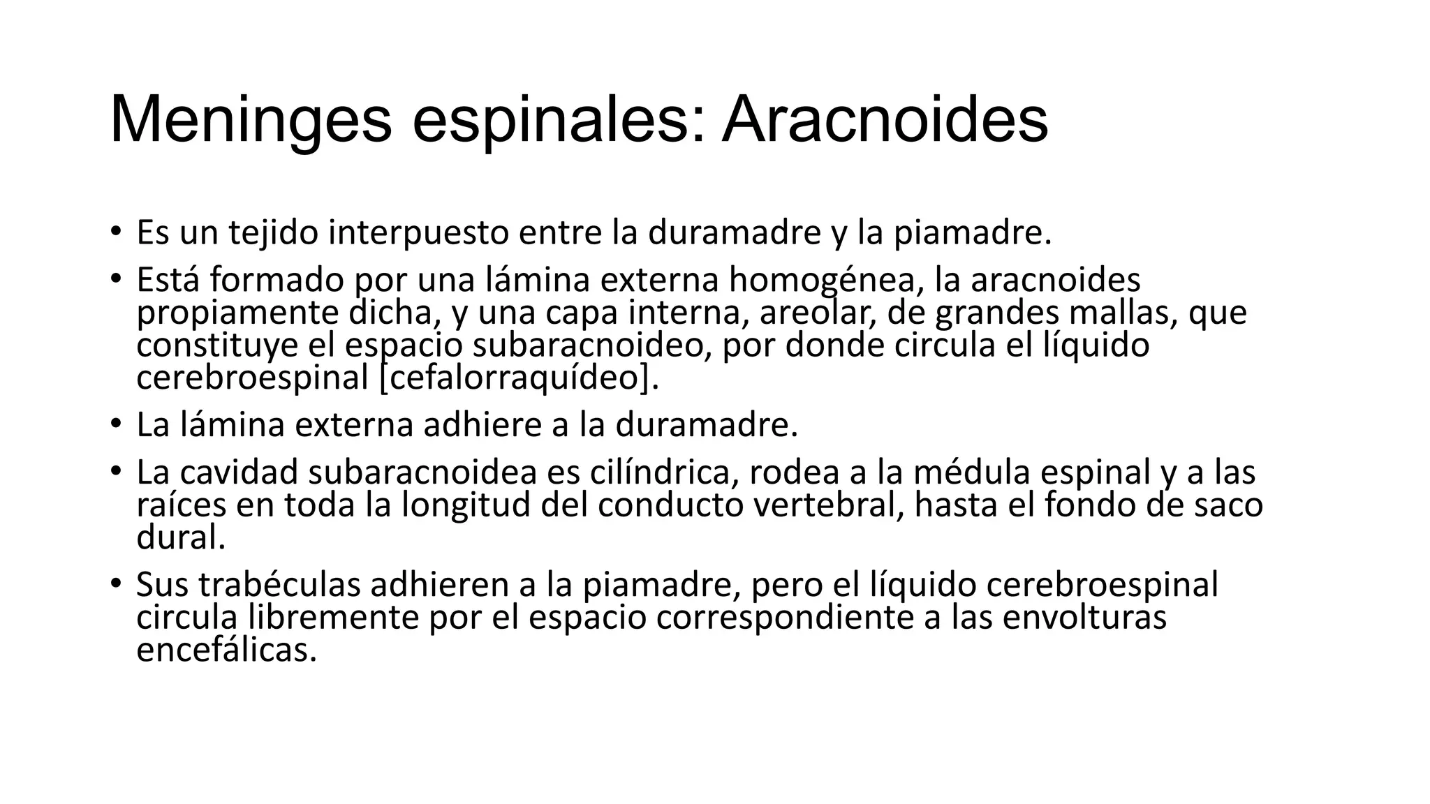 Anatomía de la Médula espinal. Configuración externa | PDF