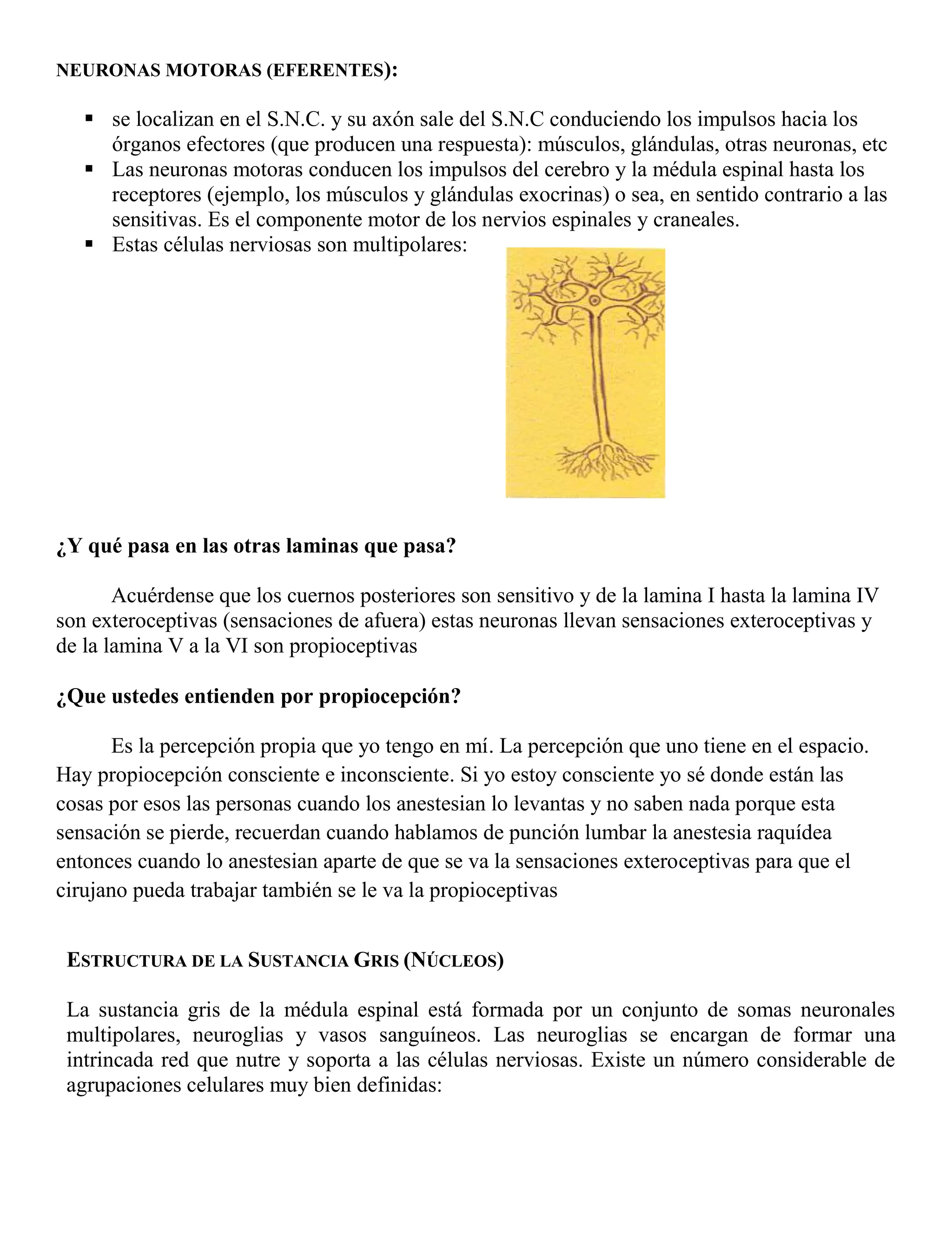 Medula espinal tracto descendente primera parte | DOCX