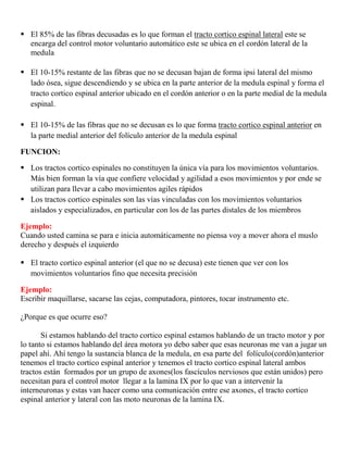 Medula espinal tracto descendente primera parte | DOCX