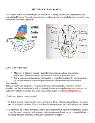 Medula espinal tracto descendente primera parte | DOCX