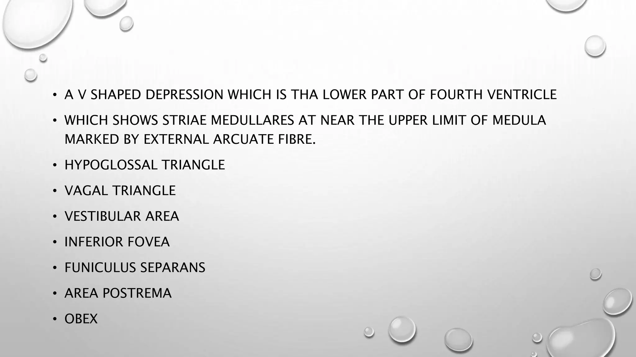 Medula oblongata anatomy. | PPTX