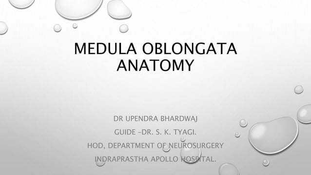Medula oblongata anatomy. | PPTX
