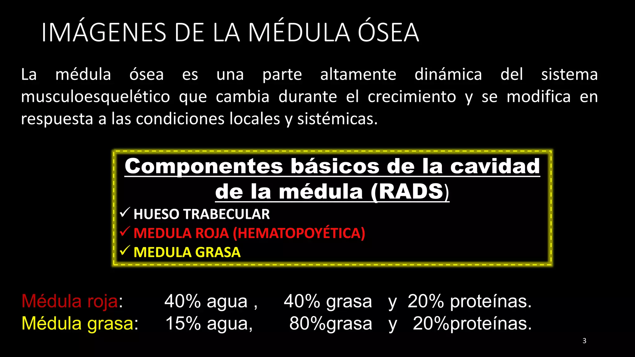 IMAGEN DE LA MEDULA OSEA | PPTX