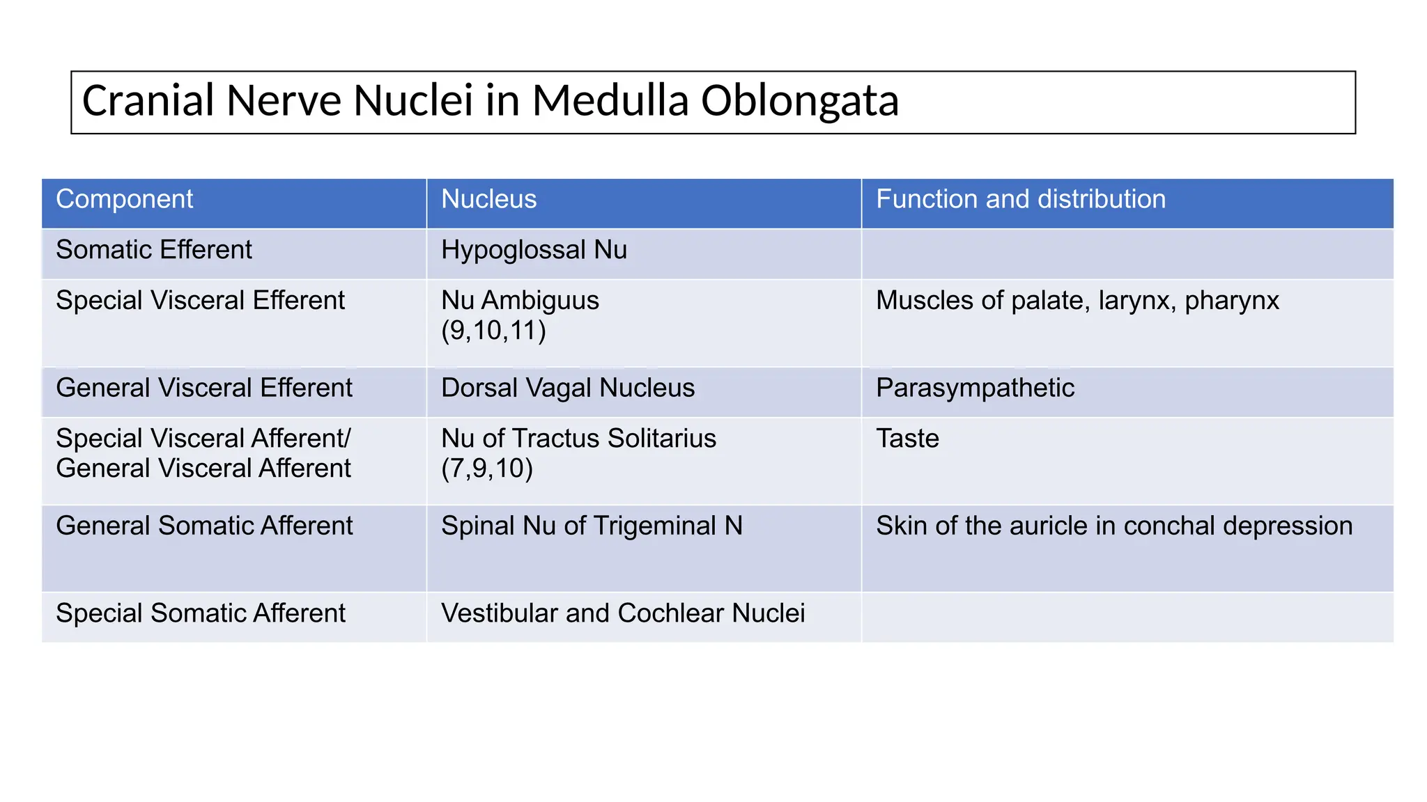 Medulla.pptx anatomy head and neck cmc Ludhiana | PPT