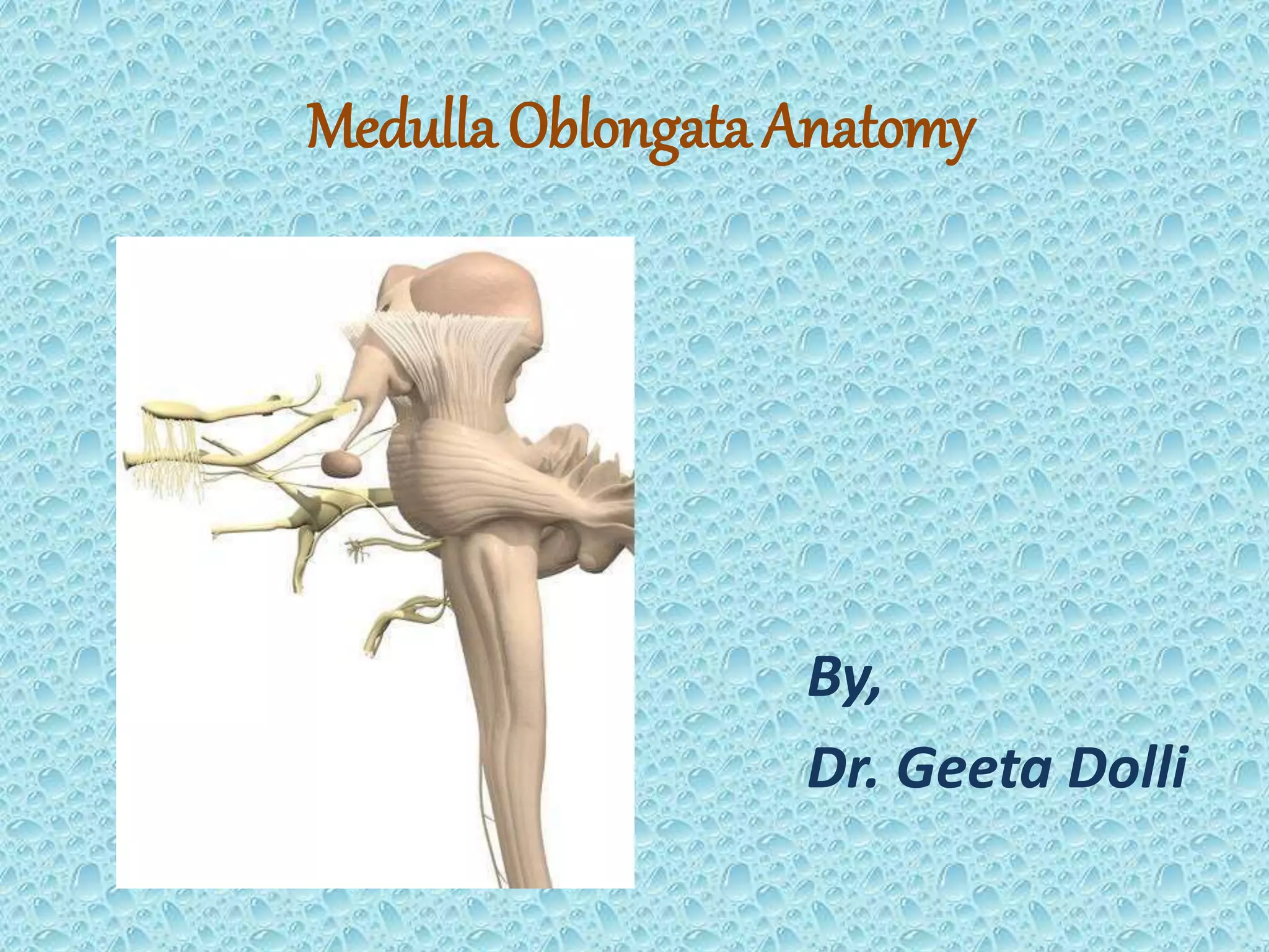 Detailed Anatomy of Medulla Oblongata ppt | PPTX