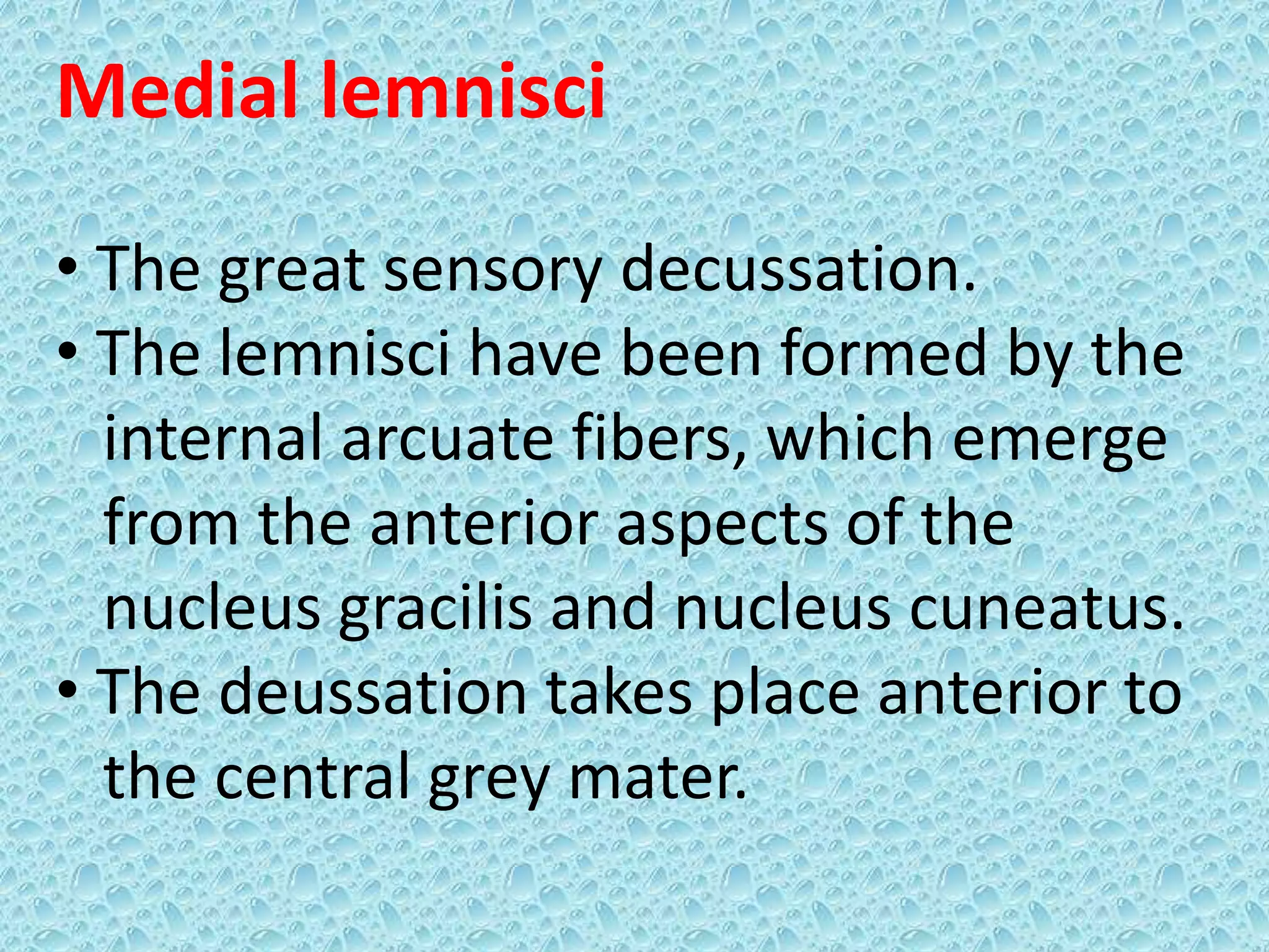 Detailed Anatomy of Medulla Oblongata ppt | PPTX