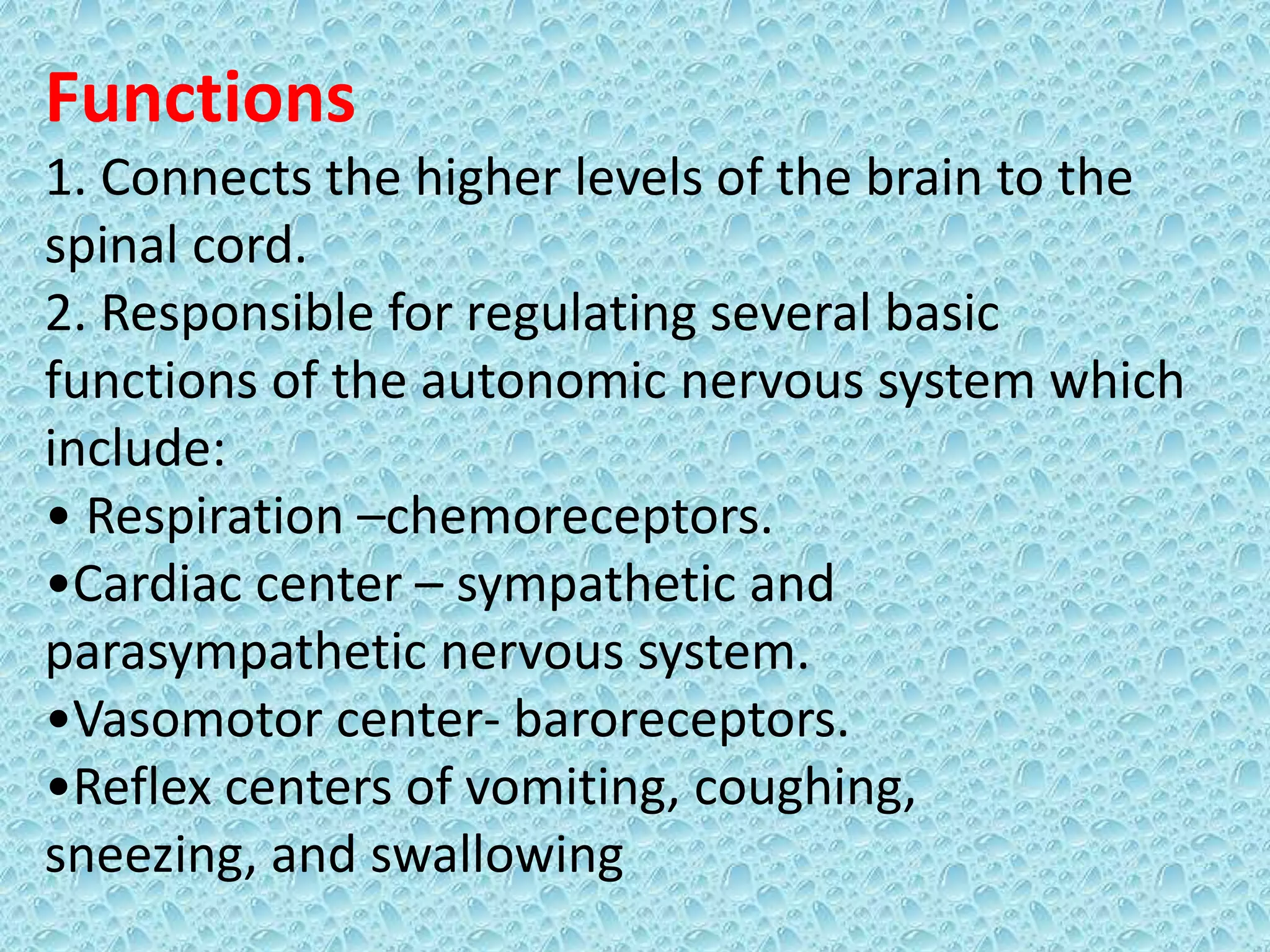 Detailed Anatomy of Medulla Oblongata ppt | PPTX