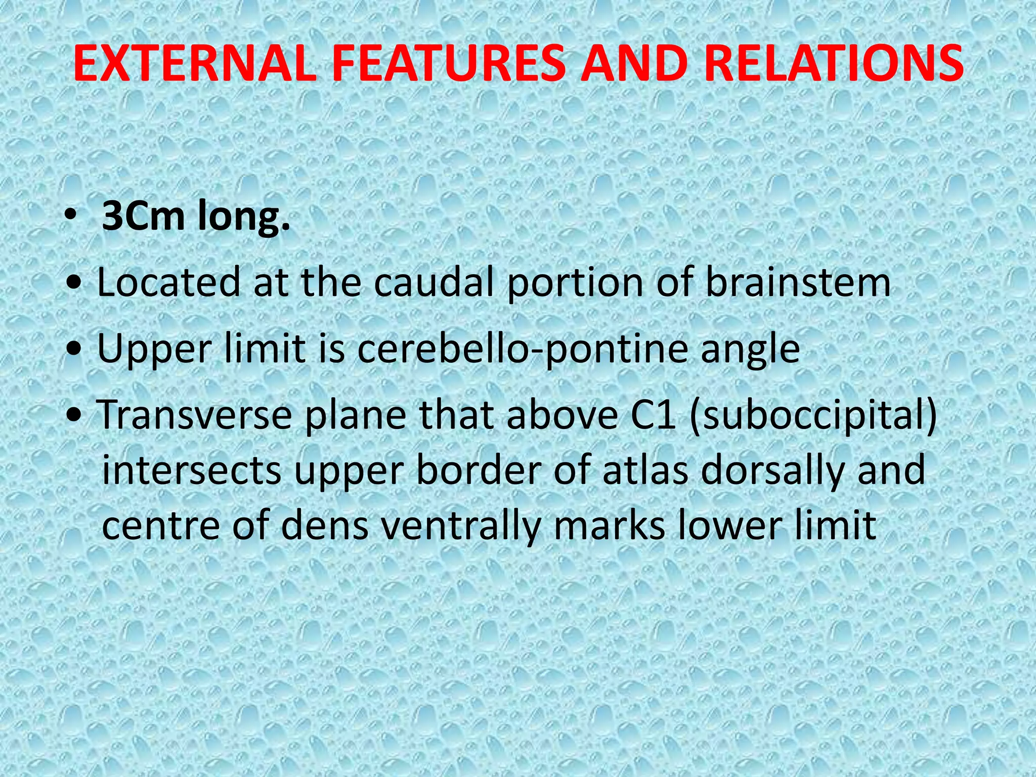 Detailed Anatomy of Medulla Oblongata ppt | PPTX