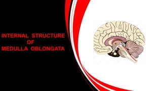 MEDULLA OBLONGATA.pptx