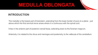 MEDULLA OBLONGATA.pptx
