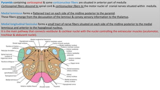Medulla oblongata | PPTX