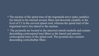 Medulla oblongata structure and syndromes.pptx