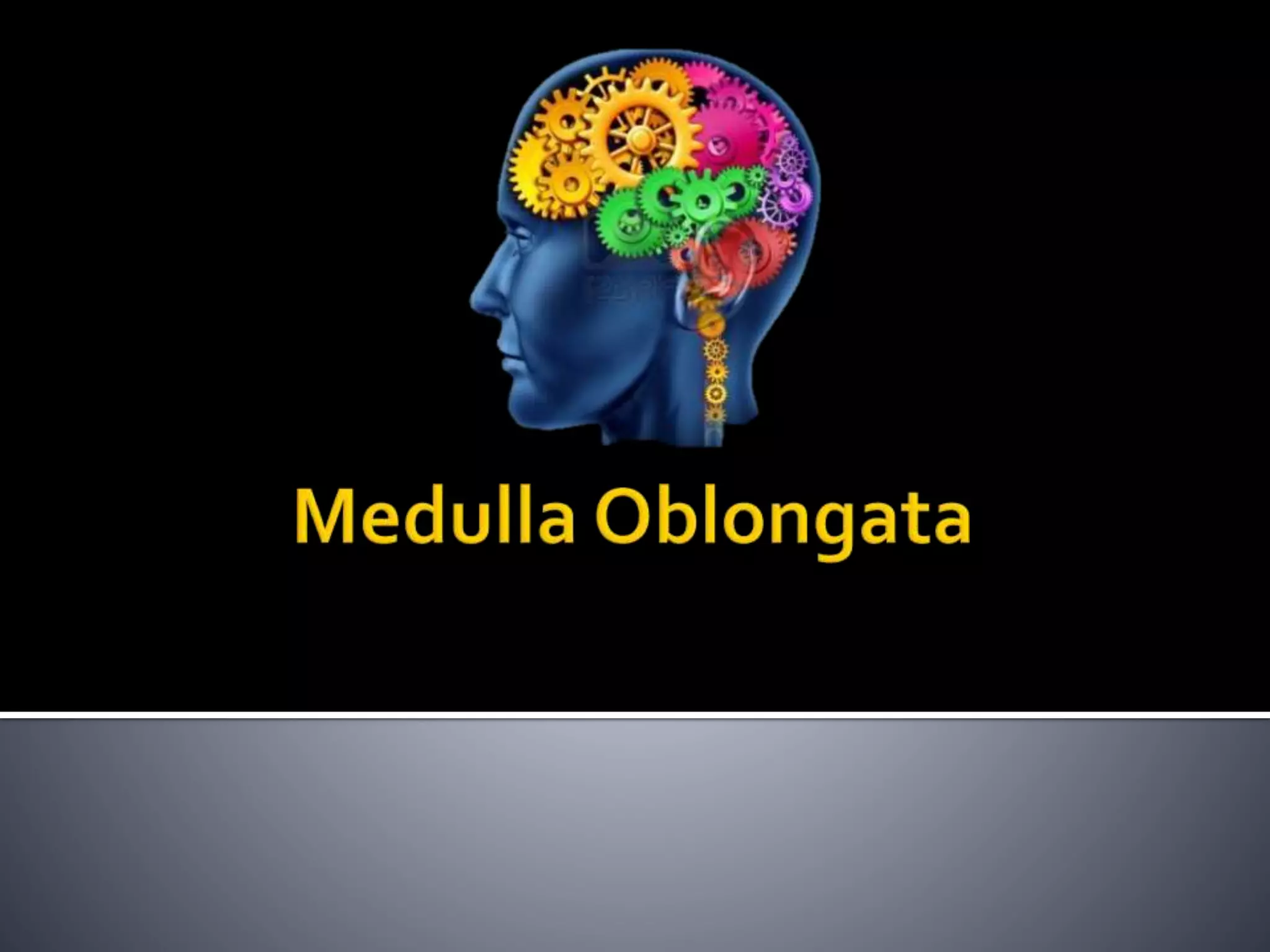 Anatomy of Medulla oblongata | PPT